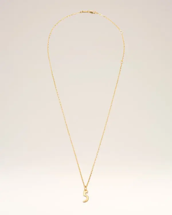 AMI Paris Brass Hammered '5' Pendant Necklace