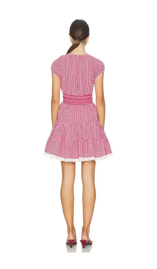 Saylor Asterid Dress