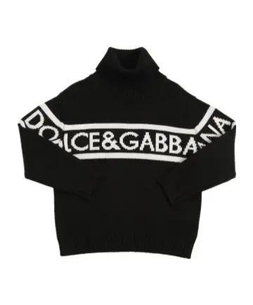 Dolce & Gabbana Logo Wool Knitted Turtleneck Sweater