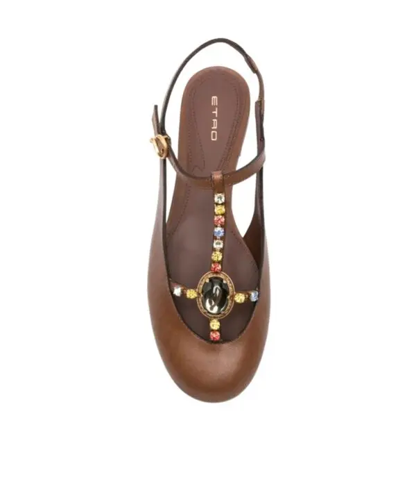Etro Slingback Pumps With Crystal Embellishments - Multicolor