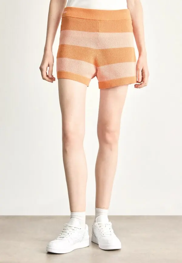 Lacoste Striped Mesh Knit Shorts