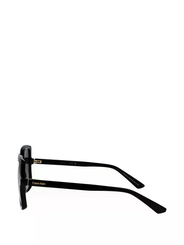 Calvin Klein Butterfly Geometric-frame Sunglasses