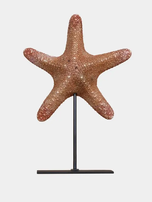 ONE OF A KIND Yellow Jungle Sea Star