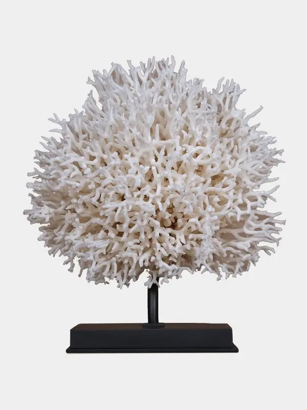 ONE OF A KIND Seriatopora Hystrix Bird's Nest Coral On Handmade Brass Base - White