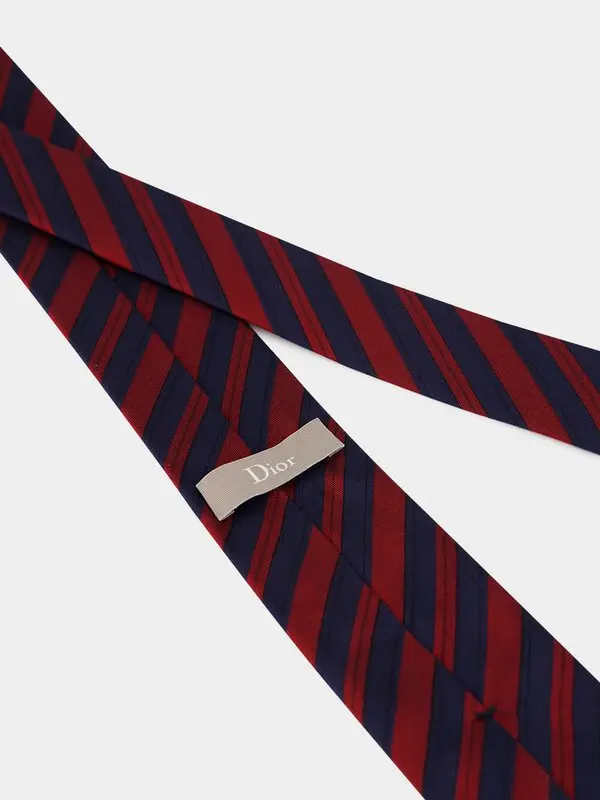 Dior Striped Neck Tie - Blue