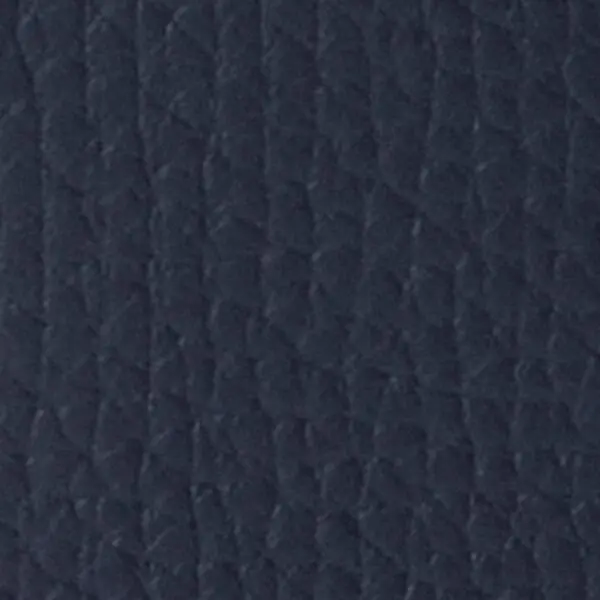 Loewe Small Leather Anagram Wallet - Navy