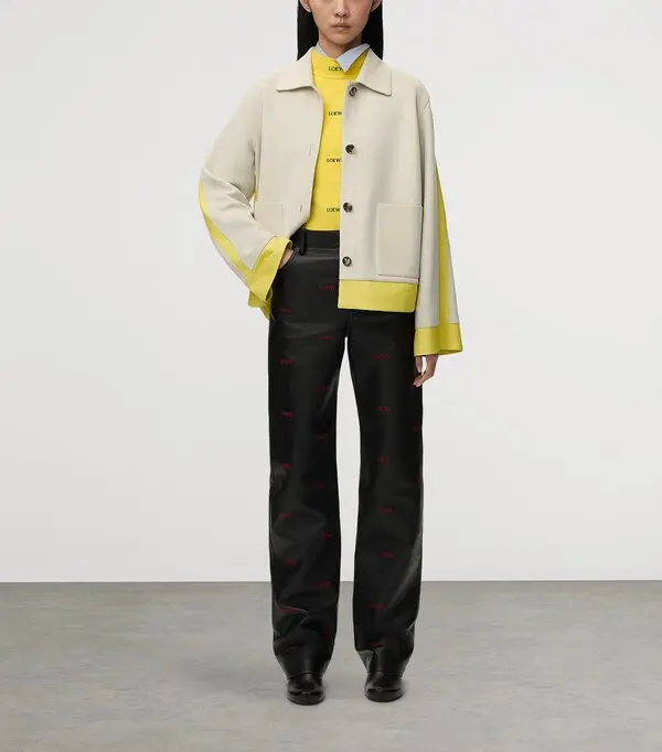 Loewe Suede And Leather Panelled Jacket