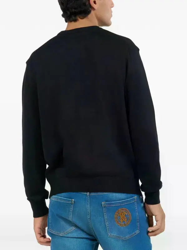 Roberto Cavalli Monogram Embroidered Sweater