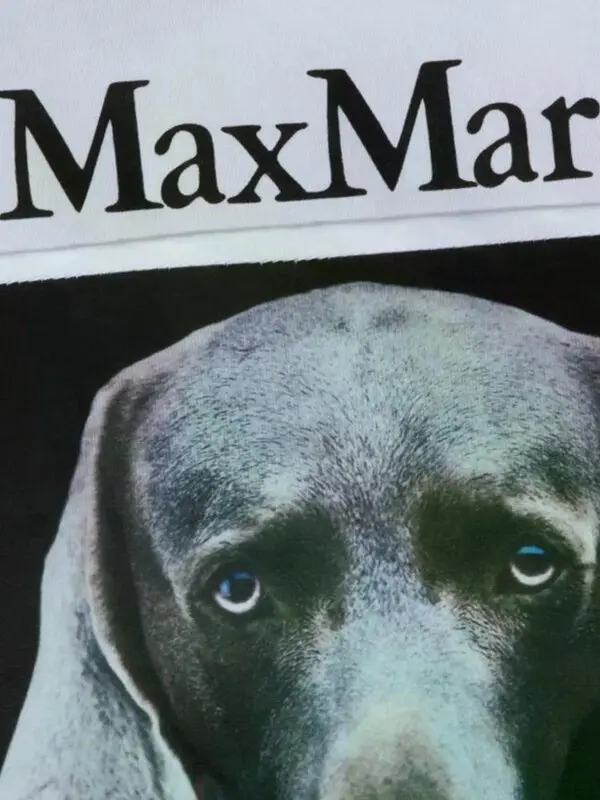 Max Mara Photographic Print T-shirt