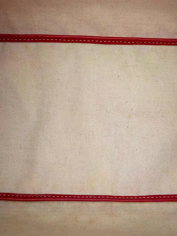 Goyard Saint Louis Pm Tote Bag