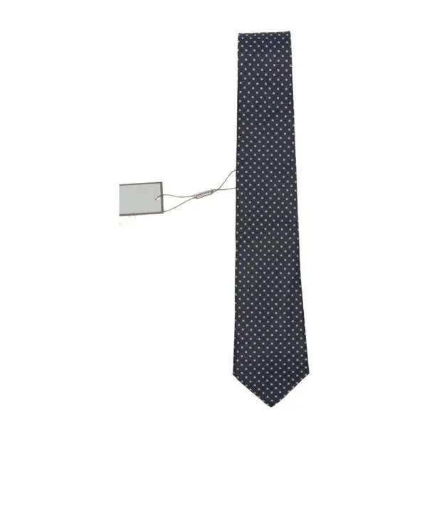 Canali Pointed Tie - Black