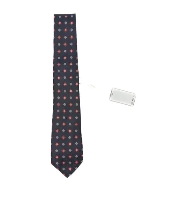 Canali Pointed Tie - Black