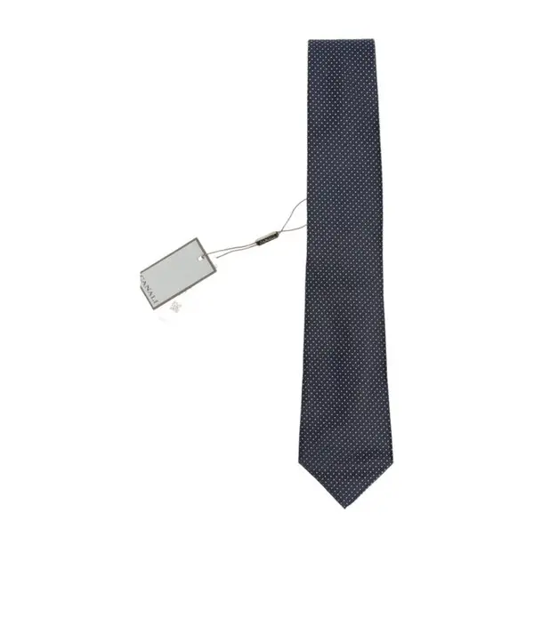 Canali Pointed Tie - Black