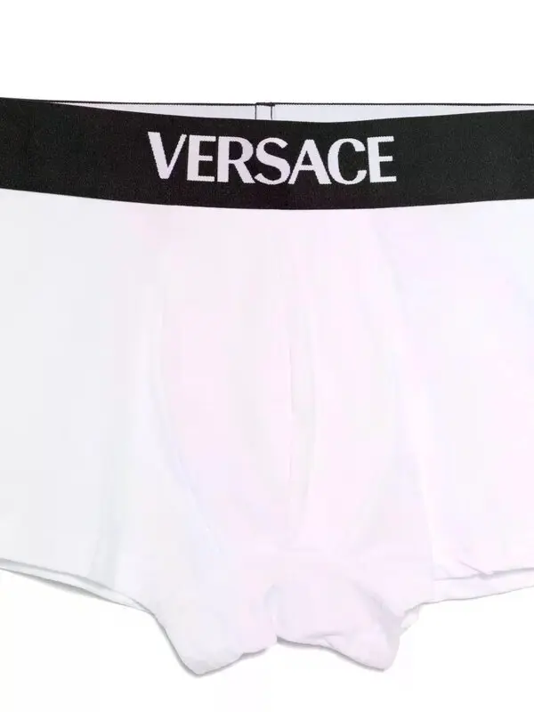 Versace Logo-waistband Briefs