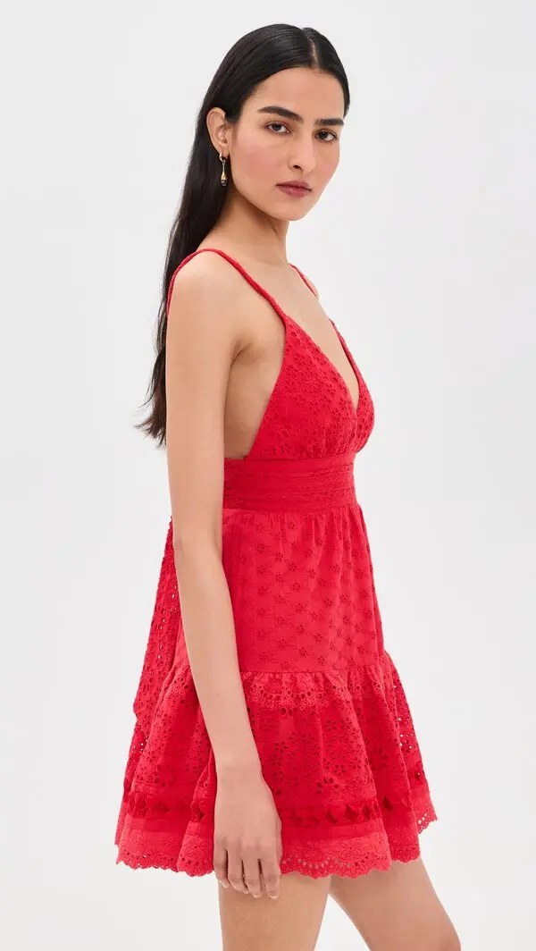 Alice + Olivia Lorene Embroidered Mini Dress