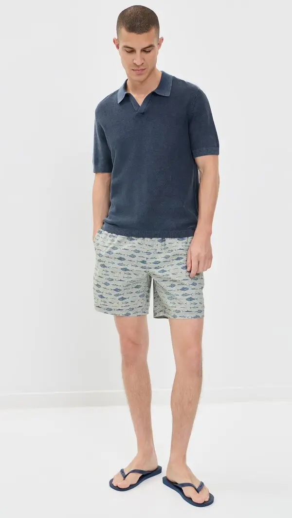 Rails Dane Swim Shorts 7
