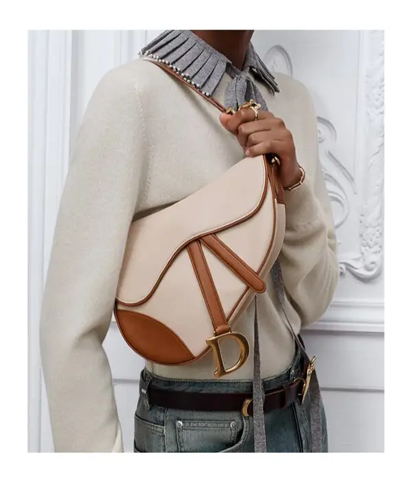 Dior Saddle Bag - Nude