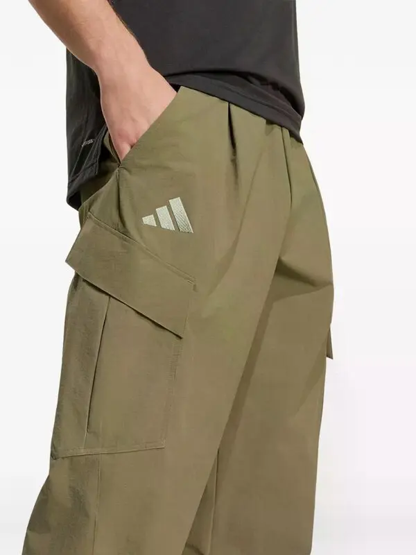 Adidas Terrex Xploric Cargo Pants