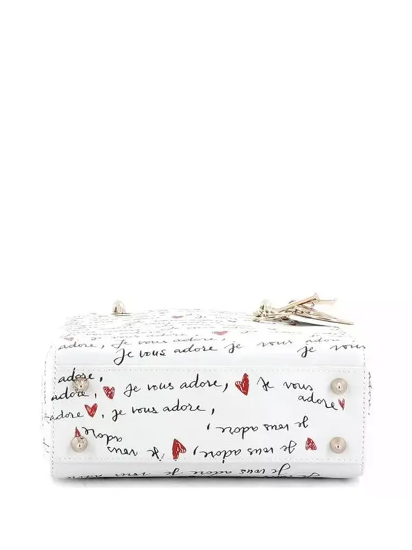Dior Lady Bag - Multicolour