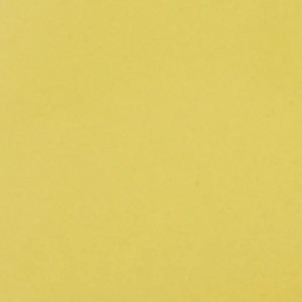 Loewe Lemon Charm