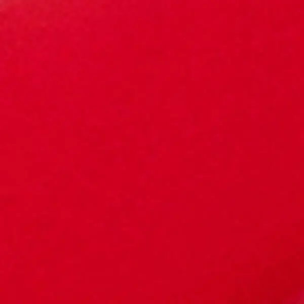 Loewe Cherry Pin Charm