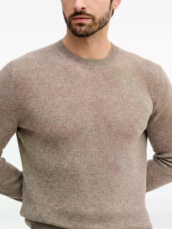 Sisley Ribbed-knit Crew-neck Sweater