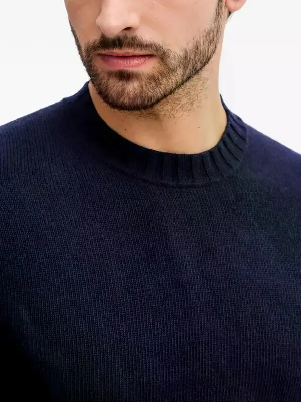Sisley Ribbed Knit Crew Neck Sweater
