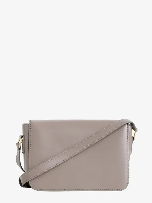 Celine Teen Triomphe Leather Crossbody Bag - Multicolor