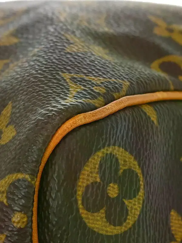 LOUIS VUITTON 40 Speedy Monogram Tote Bag