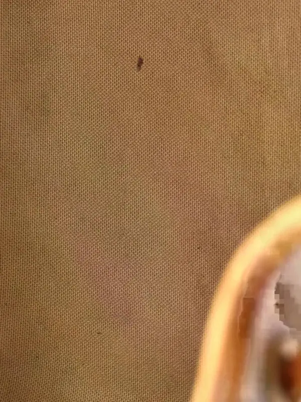 LOUIS VUITTON Noe Handbag