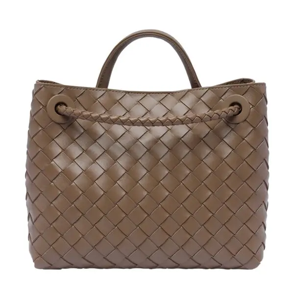 Bottega Veneta Small Andiamo Handbag - Brown