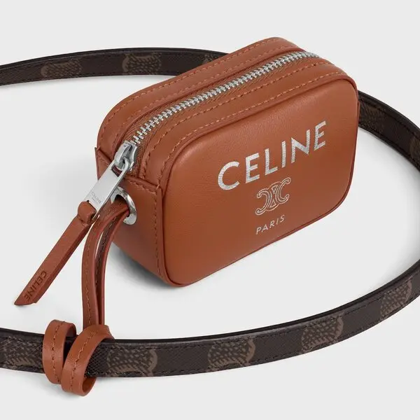 Celine Triomphe Canvas And Lambskin Messenger Bag