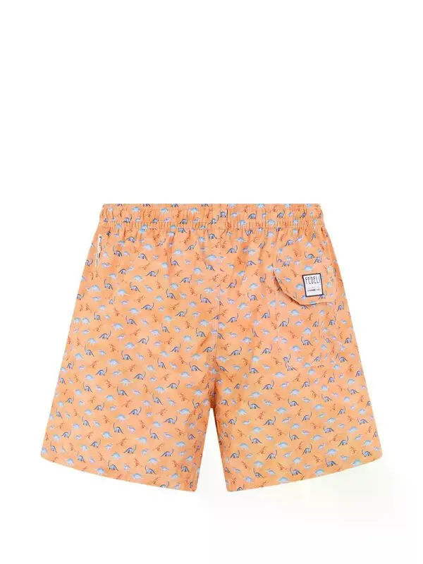 Fedeli Printed Swim Shorts