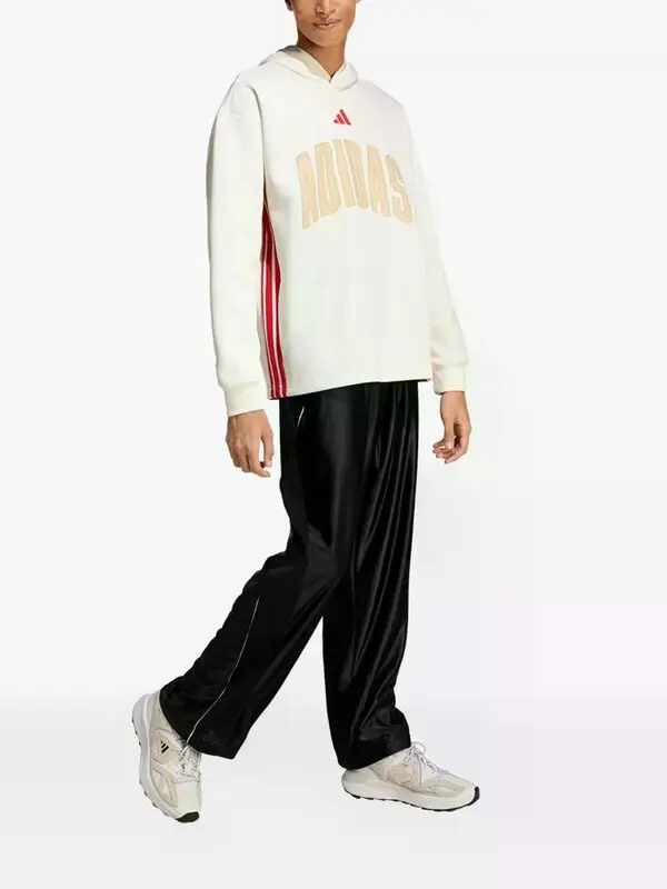 Adidas Stadium Graphic Hoodie