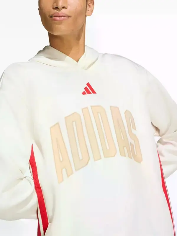 Adidas Stadium Graphic Hoodie