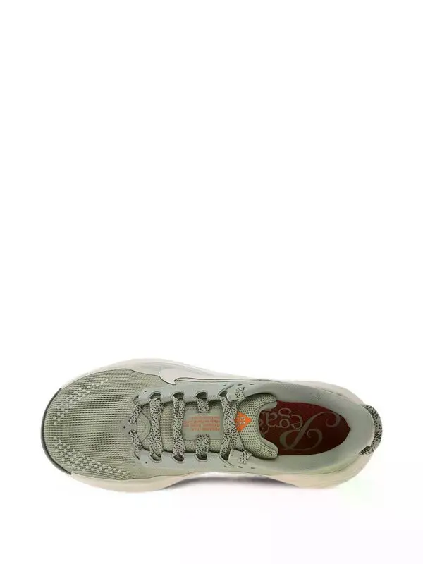 Nike Pegasus Sneakers