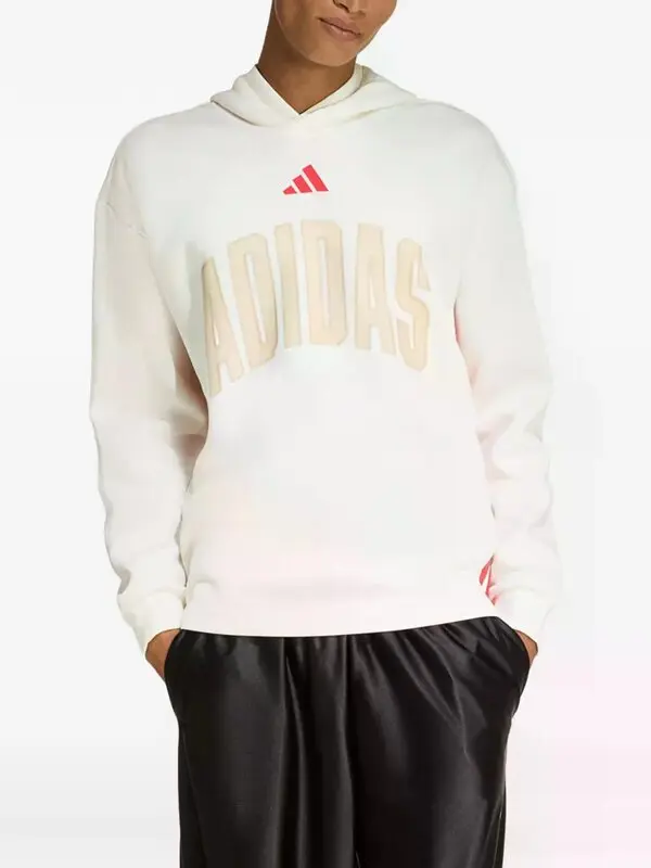 Adidas Stadium Graphic Hoodie