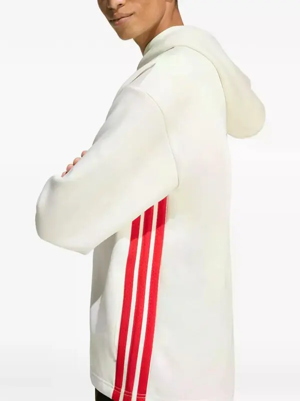 Adidas Stadium Graphic Hoodie