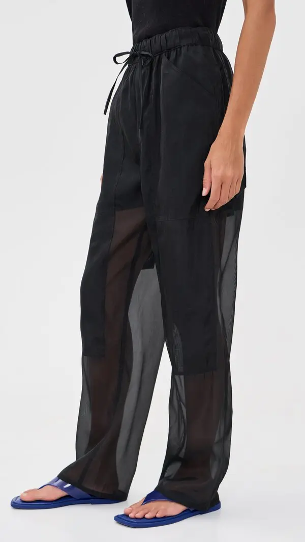 Rag & Bone Atlas Organza Wide Leg Pants