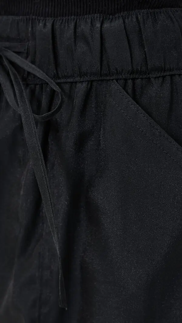 Rag & Bone Atlas Organza Wide Leg Pants