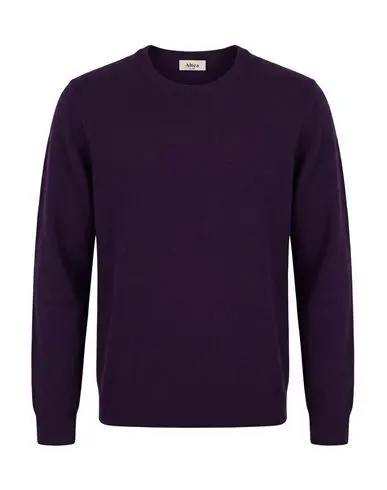 Altea Virgin Wool Crewneck Sweater - Purple