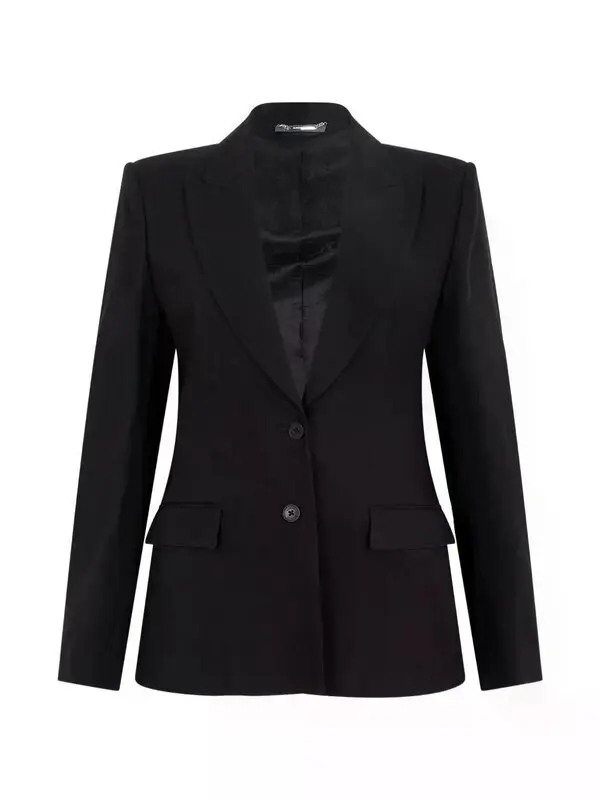 Alberta Ferretti Single-breasted Peak-lapel Blazer - Black