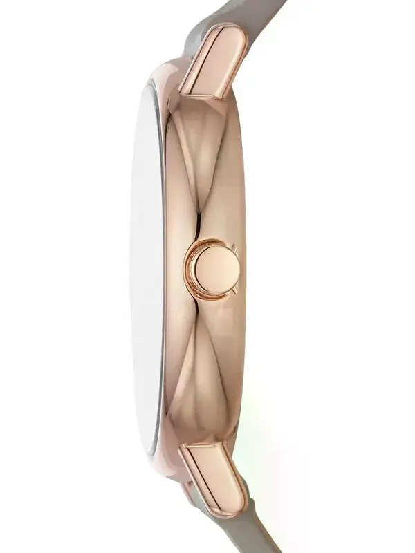 Skagen Signatur Lille Watch
