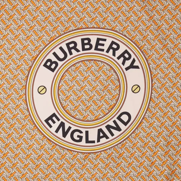 Burberry Montage-print Silk Scarf