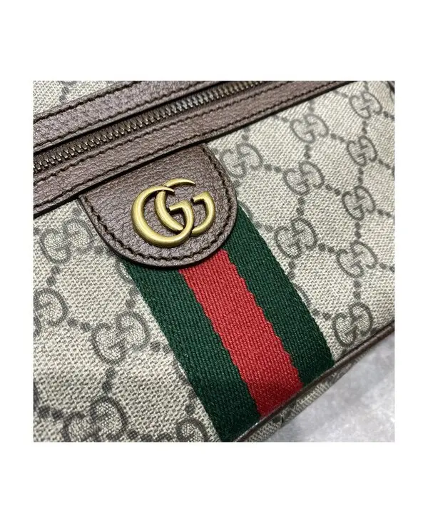 Gucci Ophidia Gg Belt Bag