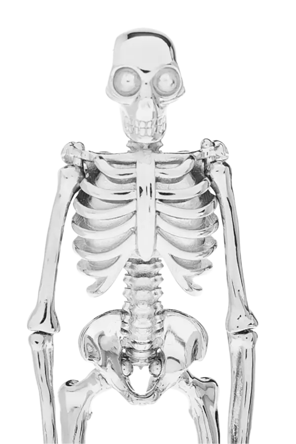 Alexander McQueen Brooch With A Skeleton Motif