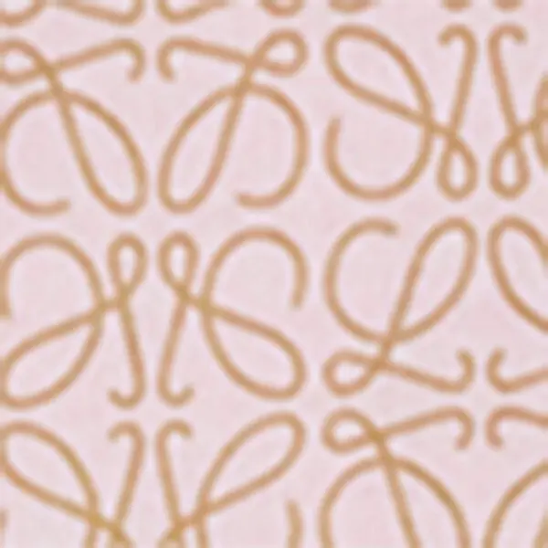Loewe Wool-silk-cashmere Anagram Scarf - Beige