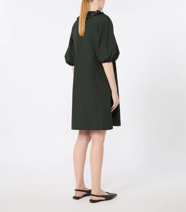 Max Mara Ruffled Mini Dress With Embellishments