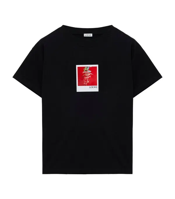 Loewe Stretch-cotton Polaroid Graphic T-shirt - Black
