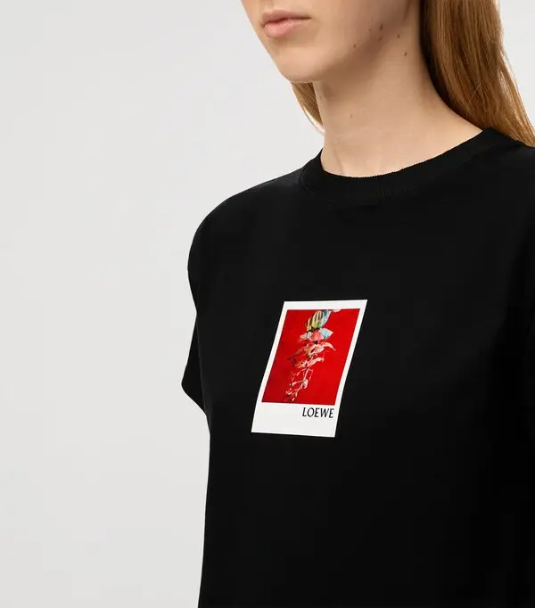 Loewe Stretch-cotton Polaroid Graphic T-shirt